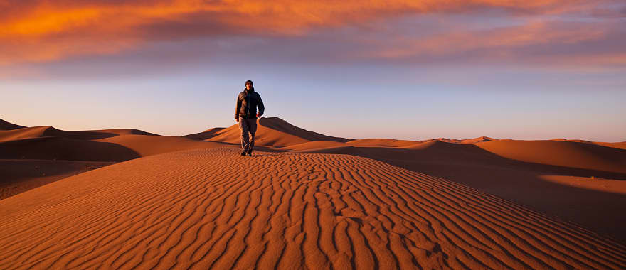 Namibia Guided Tour and Safari | Zicasso