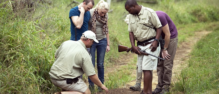 South African Adventure Tour: City, Safari, and Ocean | Zicasso