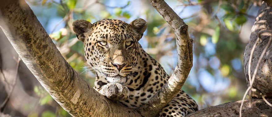 Tanzania Family Friendly Safari with Teenagers | Zicasso