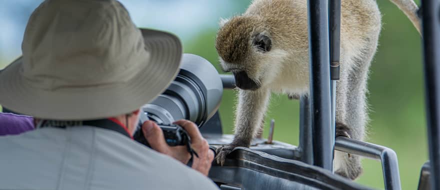 Private Serengeti Safari for Wildlife Photographers | Zicasso