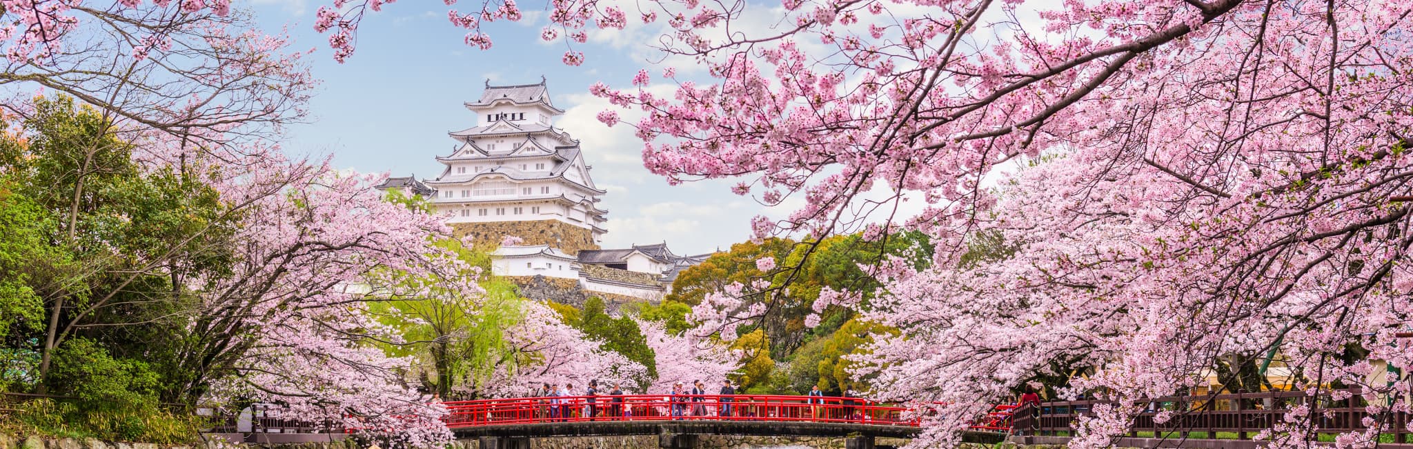 Our Japan Travel Specialists | Zicasso