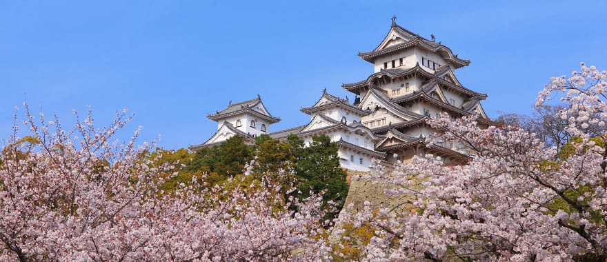 Fantastic Highlights of Japan: Complete Two-Week Itinerary | Zicasso