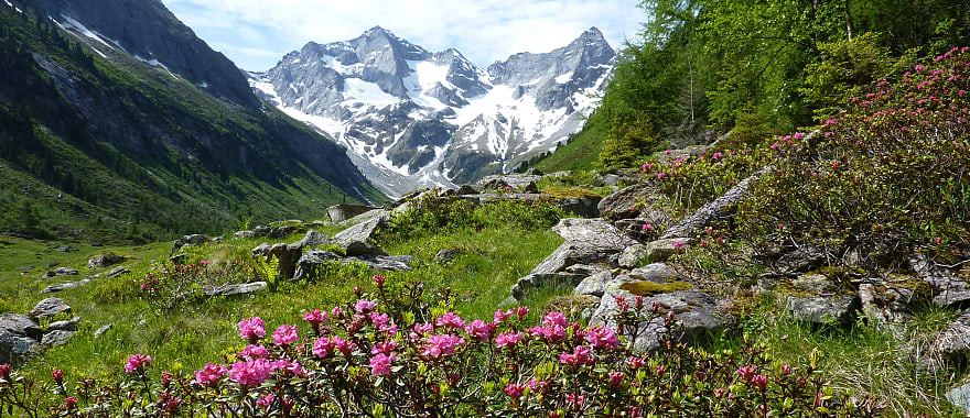 Highlights of Austria Tour: Culture, History, Nature, and Adventure ...