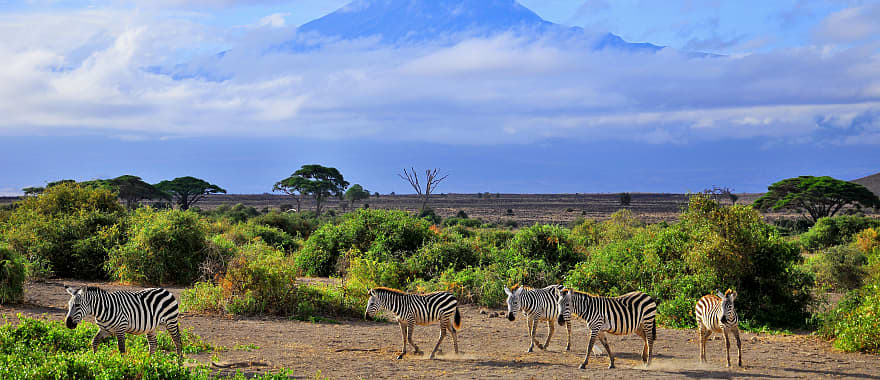 Kenya Family Safari in Three Remarkable Wildernesses | Zicasso