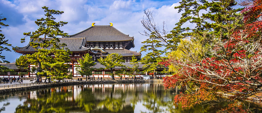 Japan Photography Tour: Cities, Castles, Landscapes, Nature & More ...