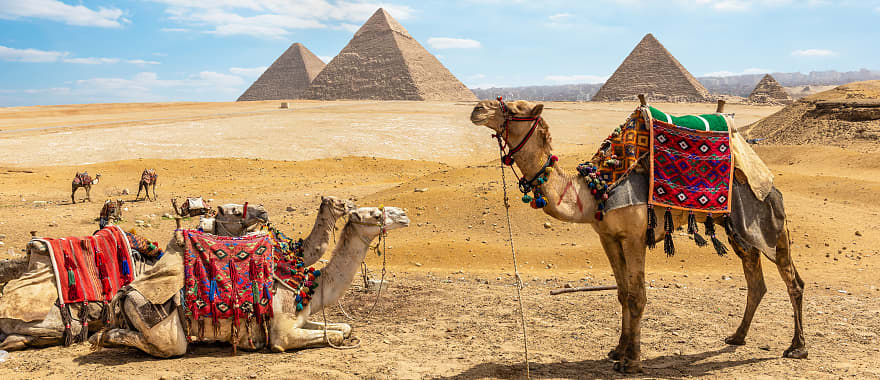 Slow-Paced Exploration of Egypt Tour | Zicasso