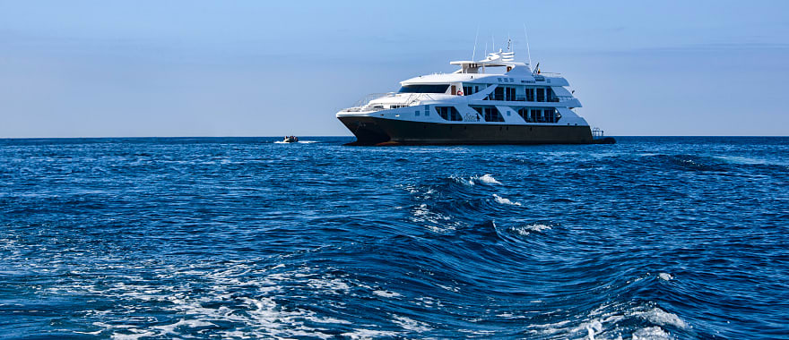 VIP Galapagos Small Boat Tour: Cruising in Luxury | Zicasso