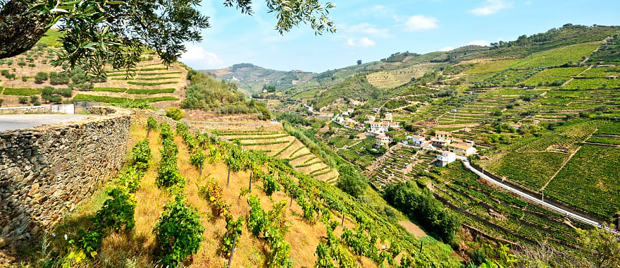 Luxury Porto and Douro Valley Wine Tour | Zicasso