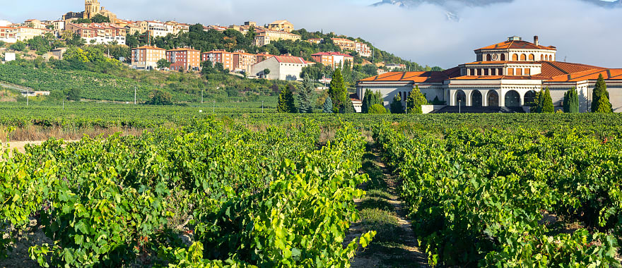 Exquisite Regions of Spain 14-Day Discovery Tour | Zicasso