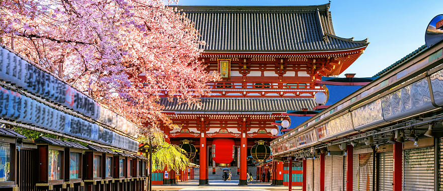 Heritage & Tradition: Majesty of Japan Tour | Zicasso