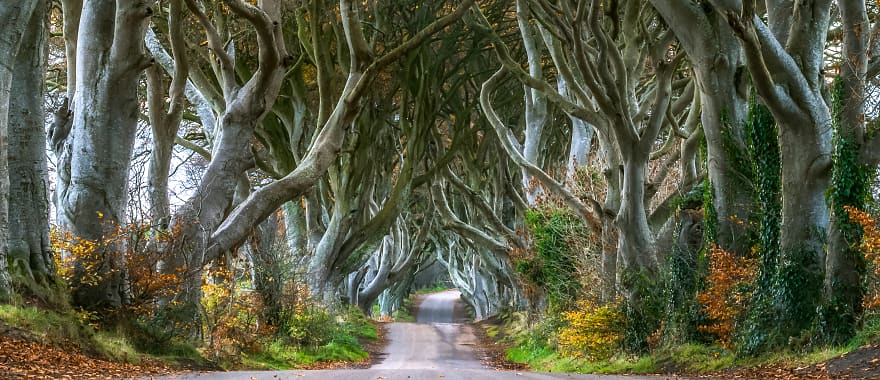 The Heart and Soul of Ireland Tour: County Donegal & Northern Ireland ...