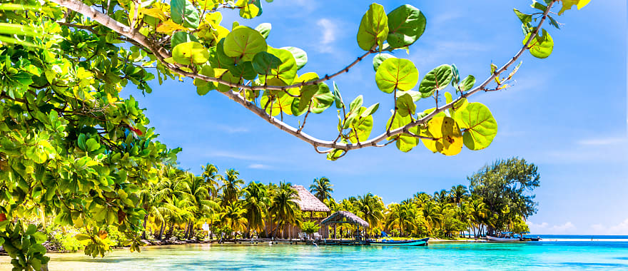 Amazing Tropical Vacation to Belize: Explore, Relax, and Indulge | Zicasso
