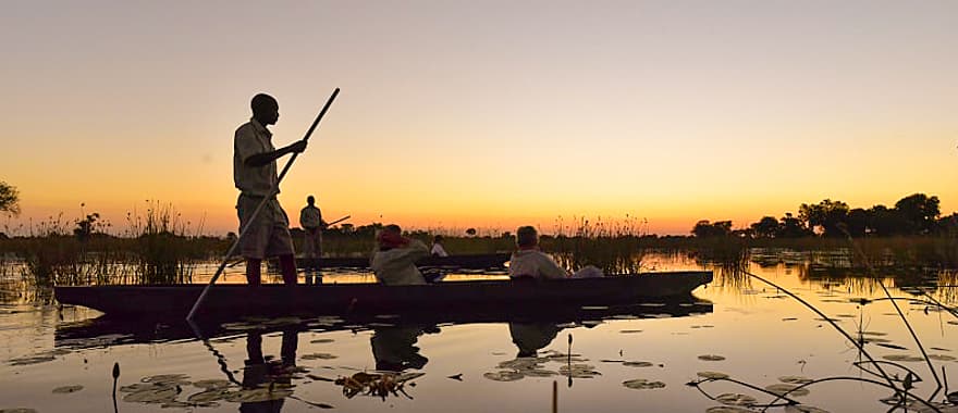 Lost in the Water World: Exclusive Okavango & Northern Botswana Safari ...
