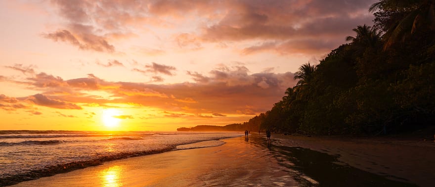 Handcrafted Costa Rica Tour: Finest Tropical Escape | Zicasso