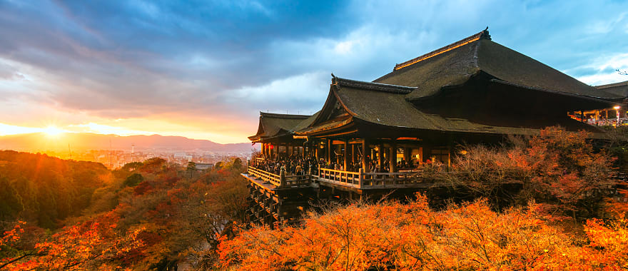 Pure Authenticity of Japan Tour | Zicasso