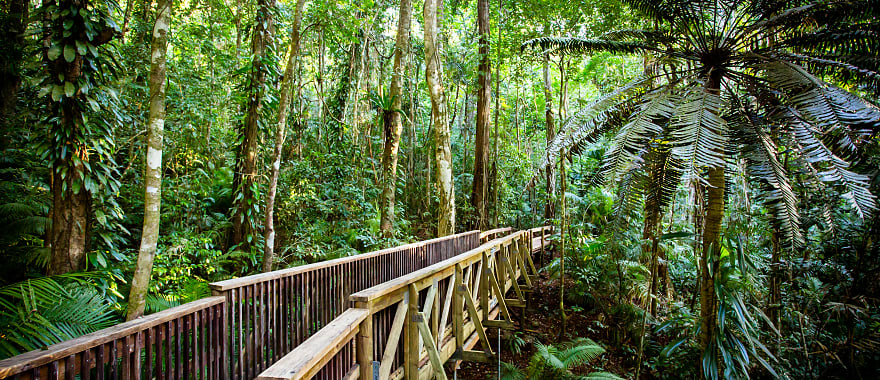 Rainforest, Outback, City: 10-Day Seniors Tour to Australia | Zicasso