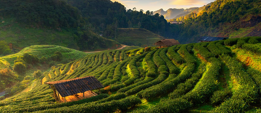 Magic & Mystery Tour of North Thailand | Zicasso