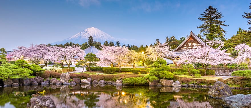 Dynamic Japan Tour: Ancient Culture and Modern Revelries | Zicasso