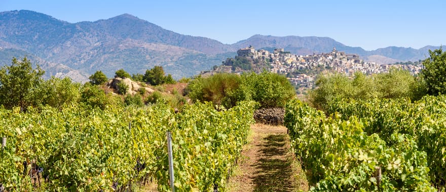 A Luxury Wine Tour of Sicily | Zicasso